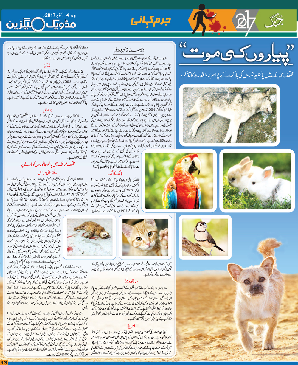 Jang Karachi: Daily Jang Epaper, Urdu Newspaper, Pakistan News 4 ...